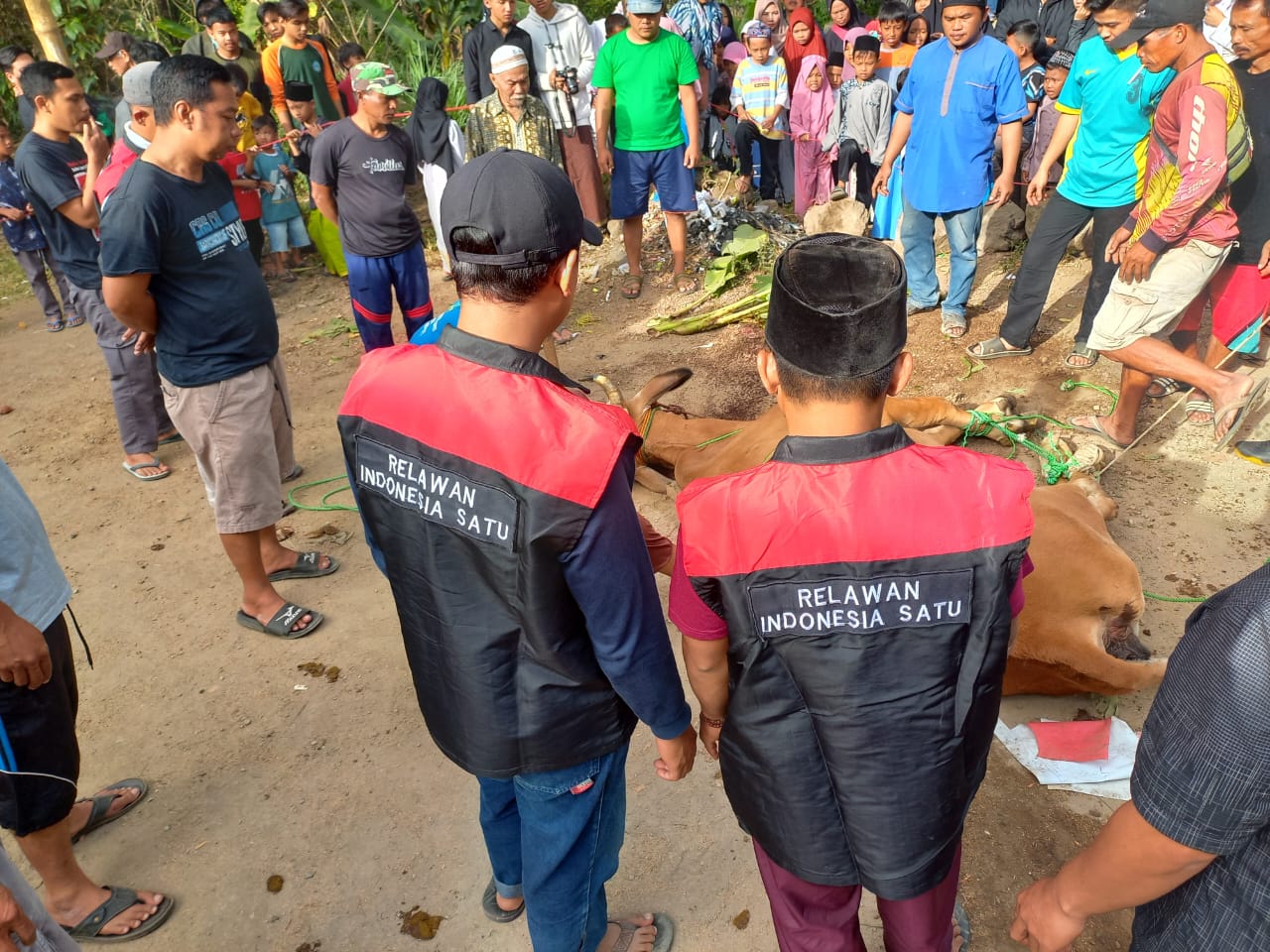 Yayasan Indonesia Satu Salurkan 3 Ekor Sapi Dan 6 Ekor Domba Pada Idul ...